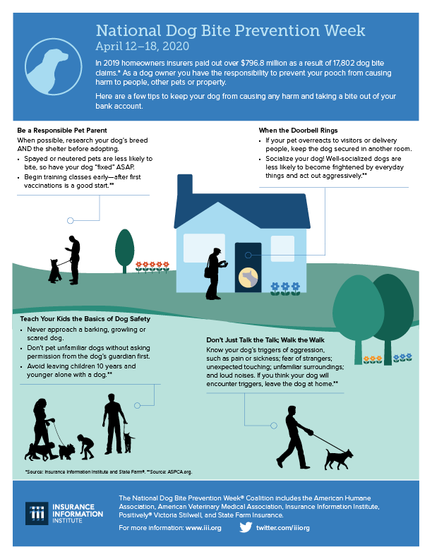 Infographic: National Dog Bite Prevention Week | III