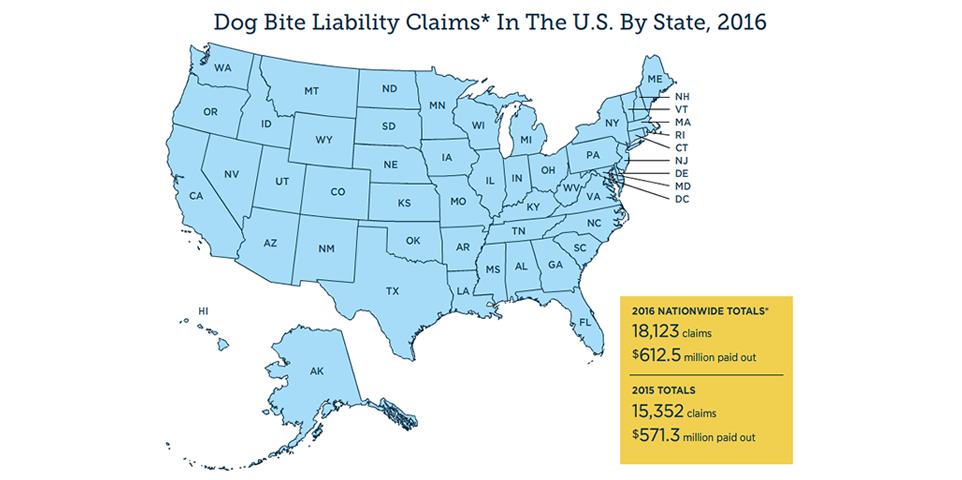 Insurance: The Basics | III