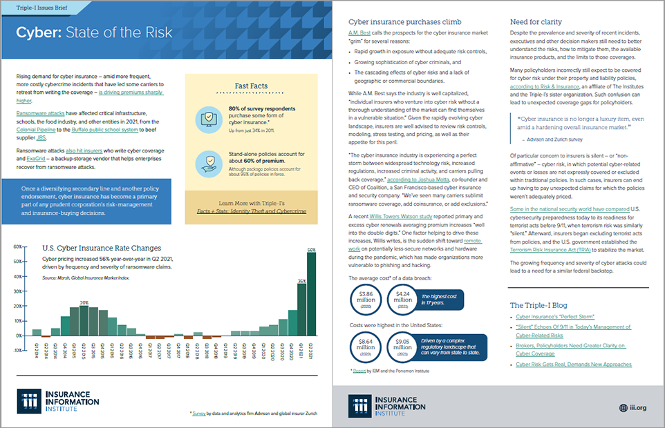 Triple-I Issues Briefs | III